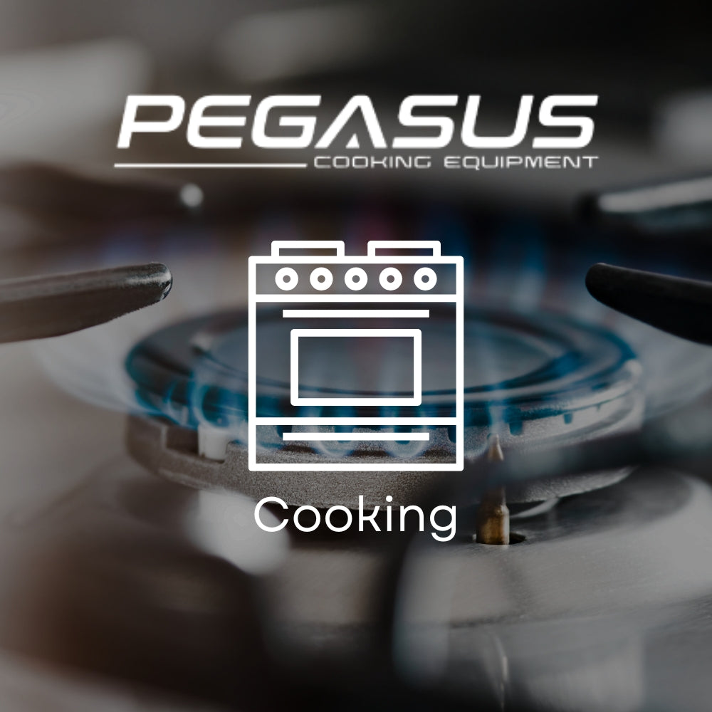 PEGASUS – Galaxy Group Corp